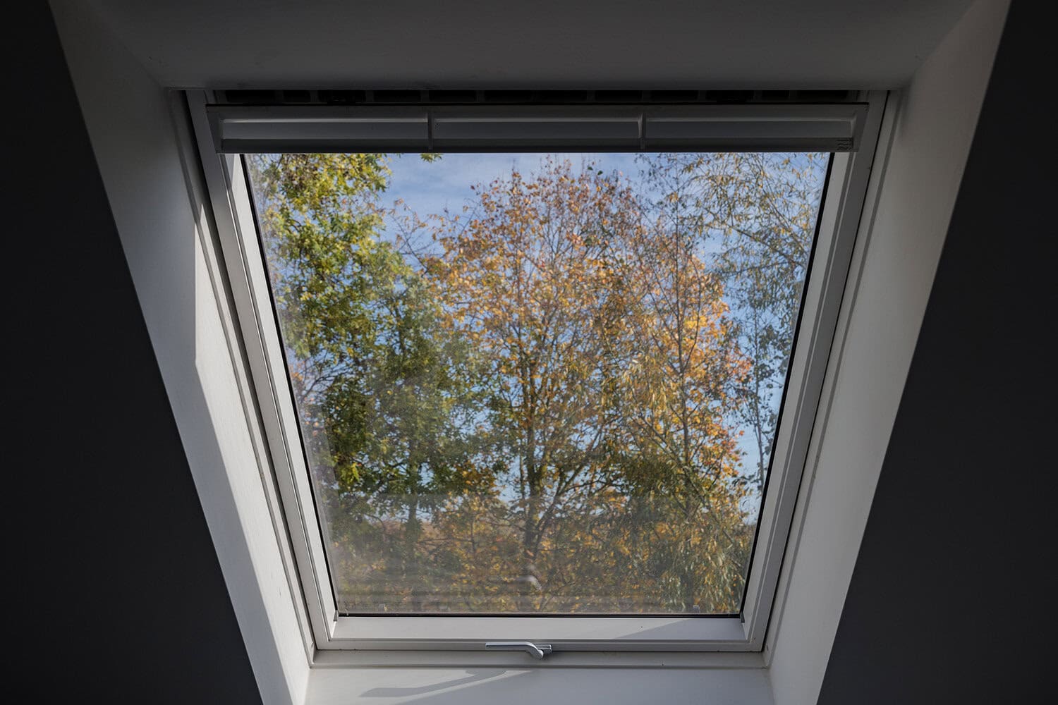 Enhance Your Home with Velux Skylights: Benefits & Solutions